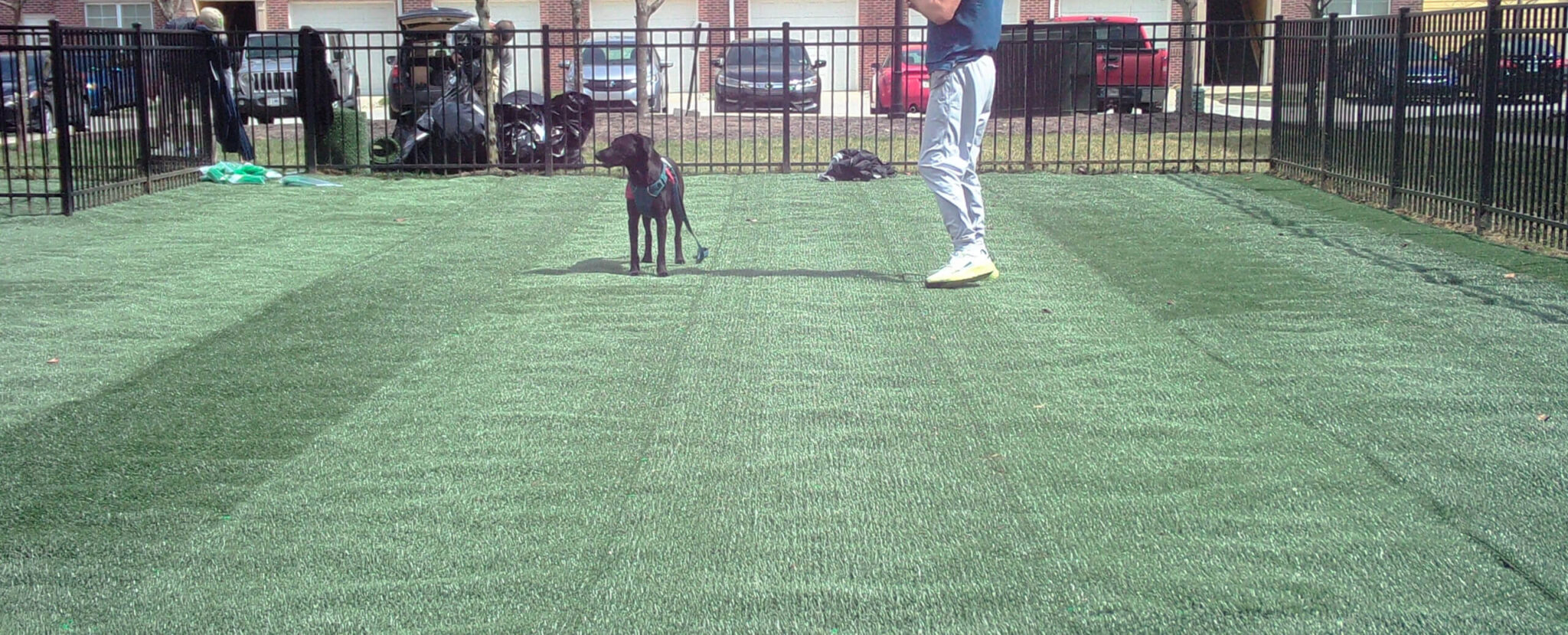 5 Benefits of Natura™ Dog Turf in Hot and Dry Climates - Natura